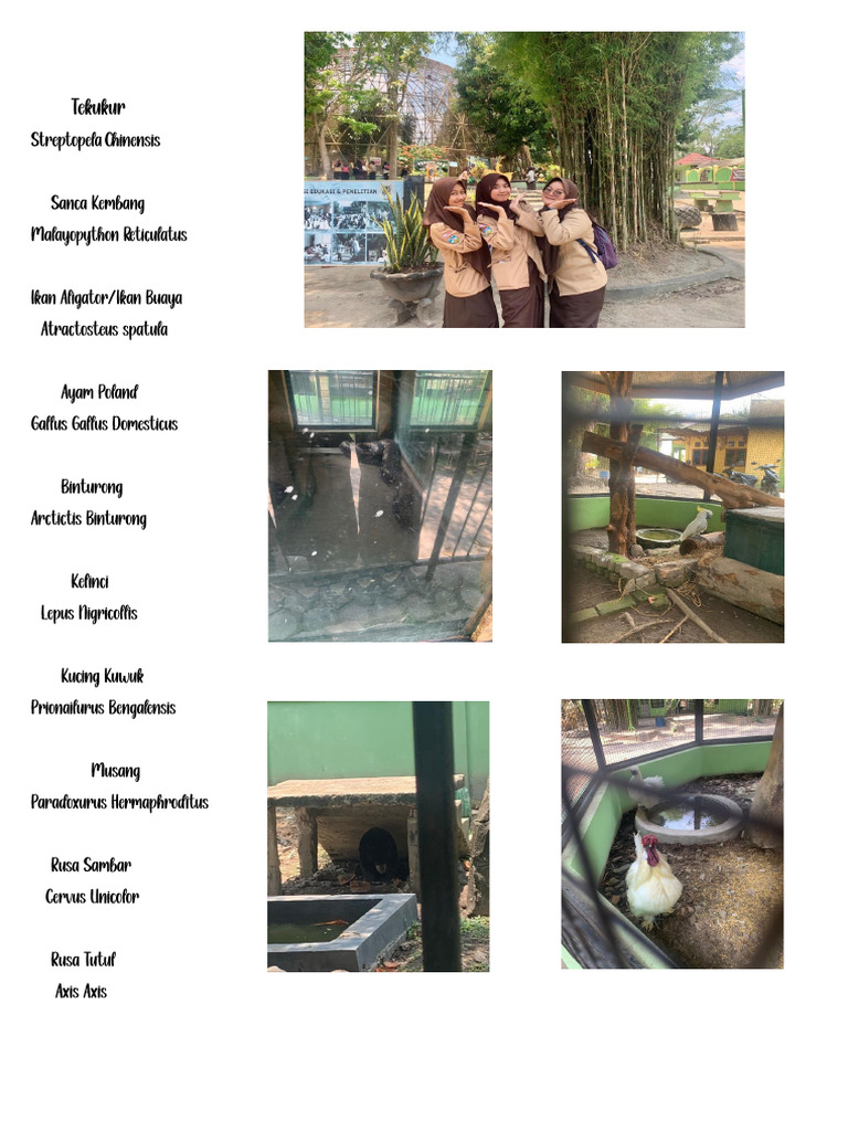 Geografi Zoo | PDF