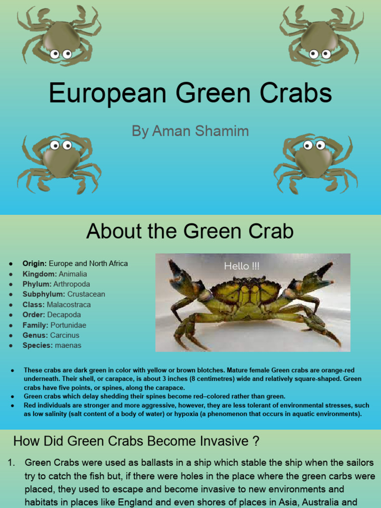 The Green Crabs | PDF | Invasive Species | Crab
