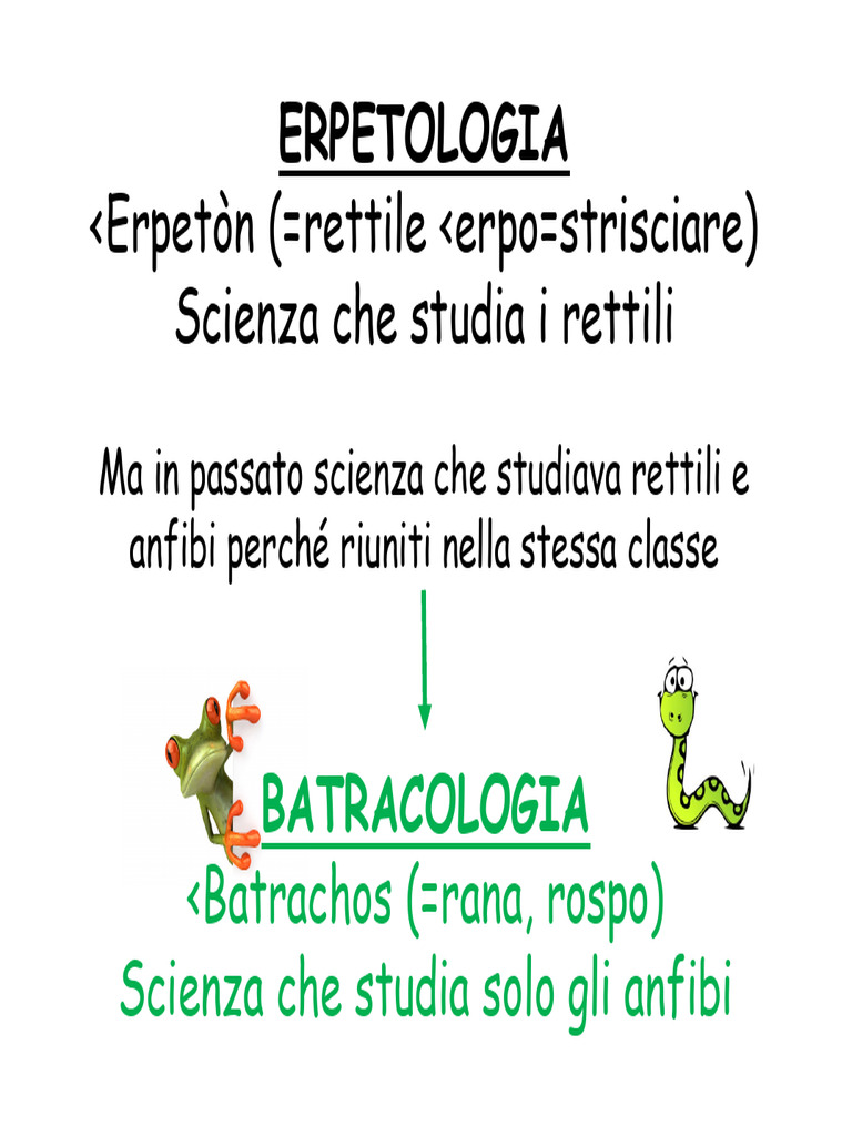 Presentazione Rettili - 2021x PDF Agg 2022 | PDF