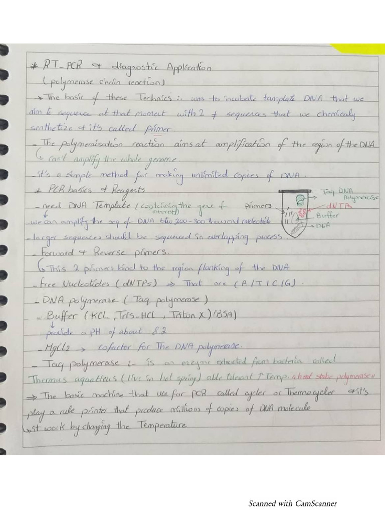 Pcr Pdf