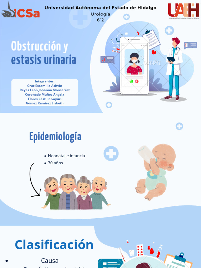 Obstrucción y Estasis Urinaria | PDF | Sistema urinario | Riñón