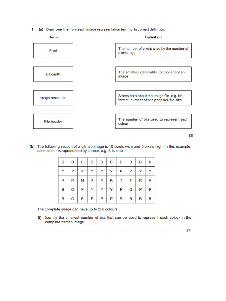 Worksheet-Image Representation-1 | PDF