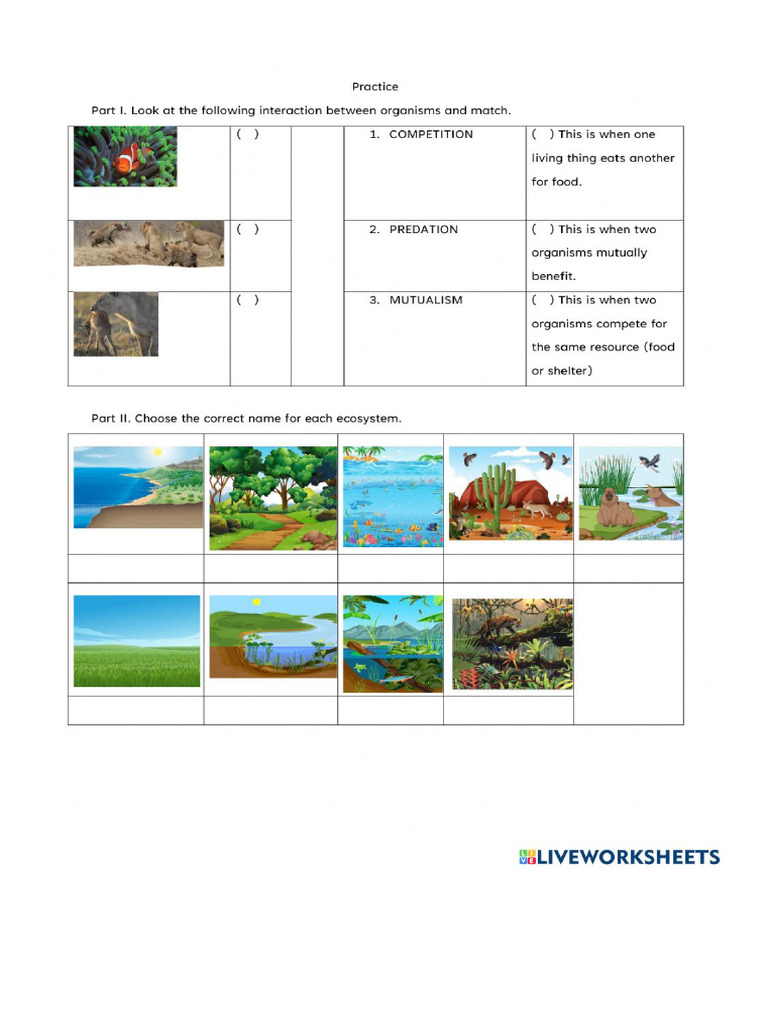 Ecosystems Worksheet | PDF