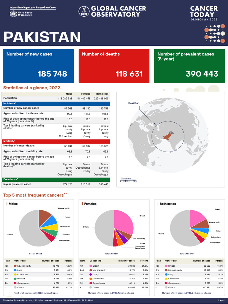 586 Pakistan Fact Sheet | PDF