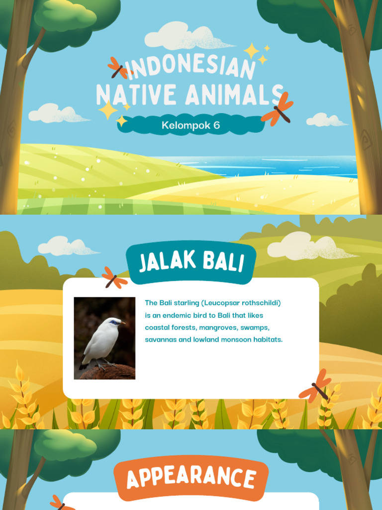 Indonesian_20240902_092417_0000 | PDF