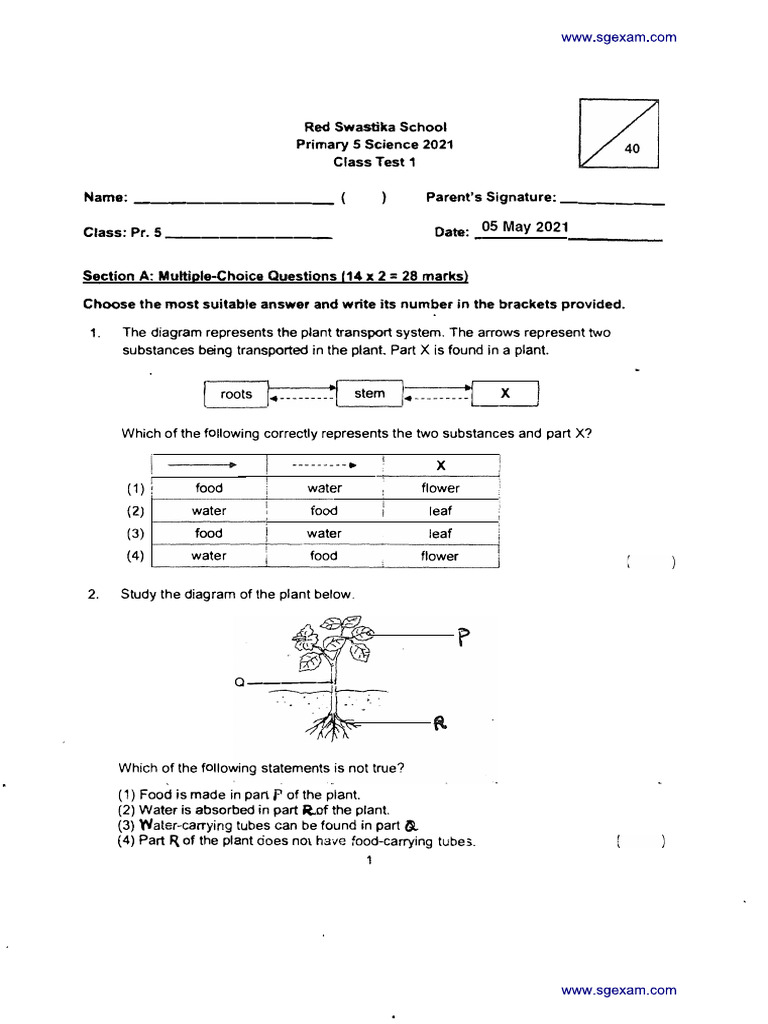 2021-P5-Science-Class Test 1-Red Swastika | PDF