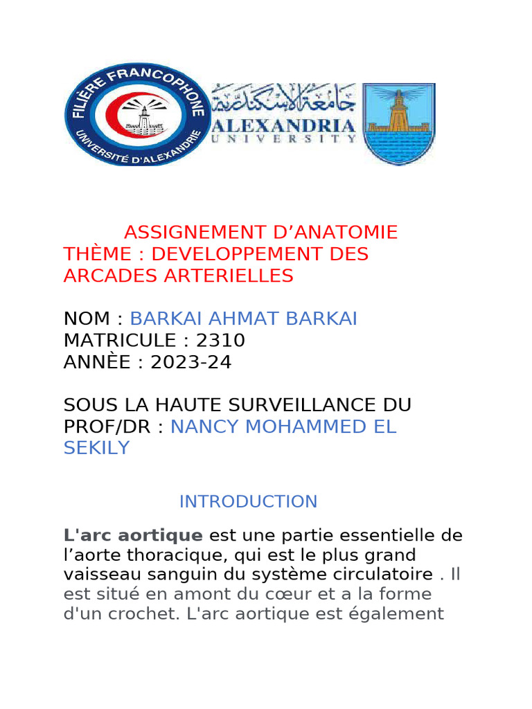 Assignement D'anatomie | PDF