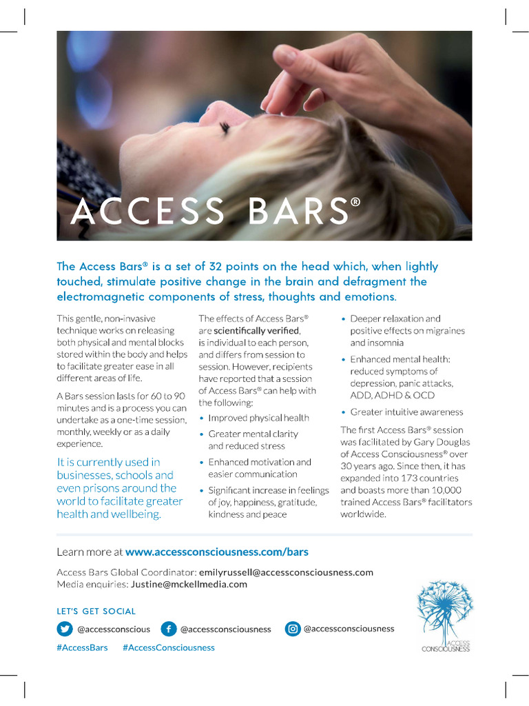Bars Brochure SDM | PDF