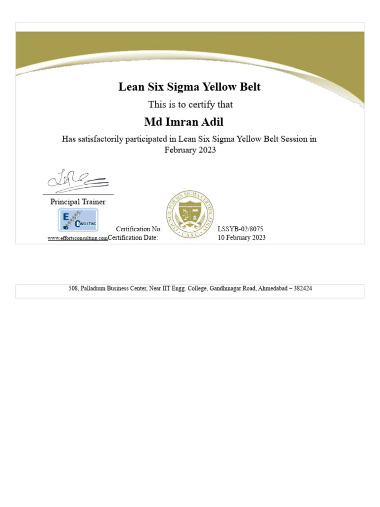 Lean Six Sigma Yellow Bel _ Participation certificate | PDF