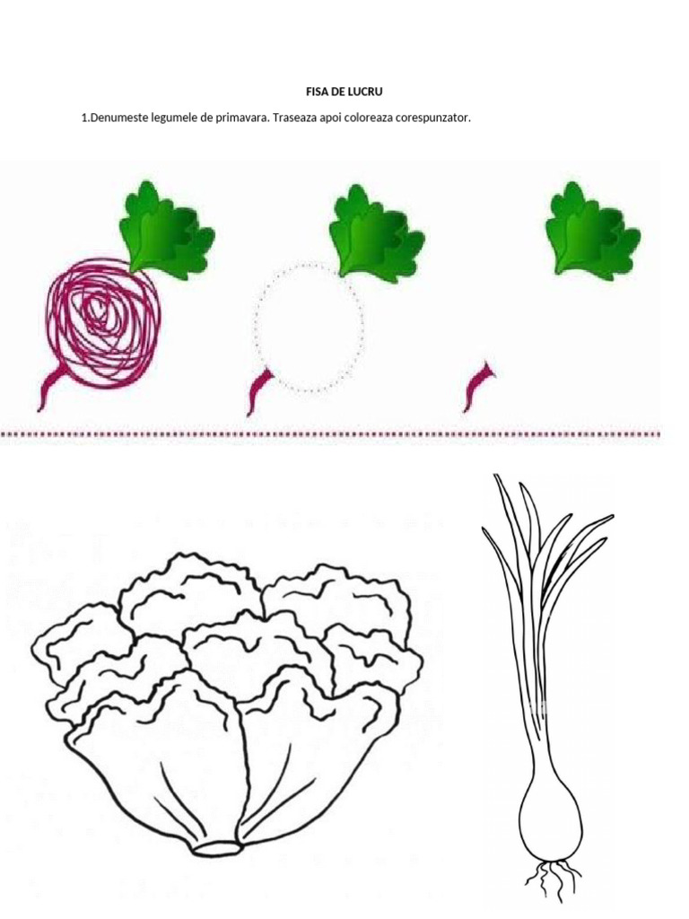 FISA DE LUCRU legume timpurii | PDF