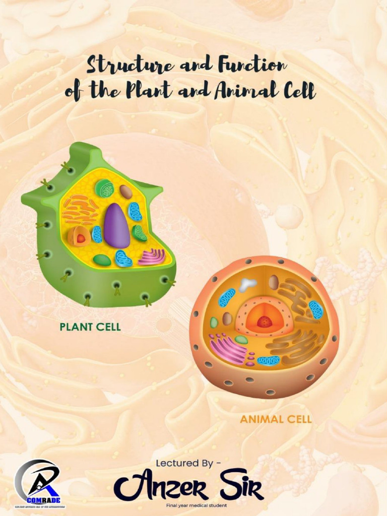 Science - G10 - L6 - Structure and Function of The Plant and Animal ...