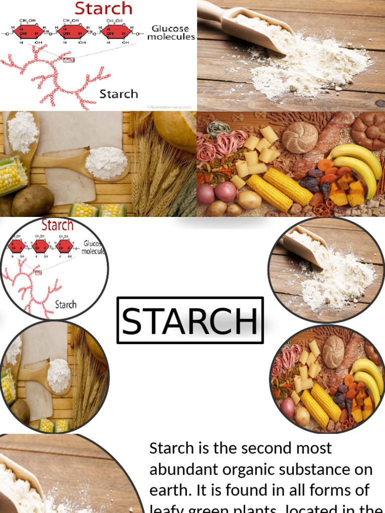 Starch. | PDF