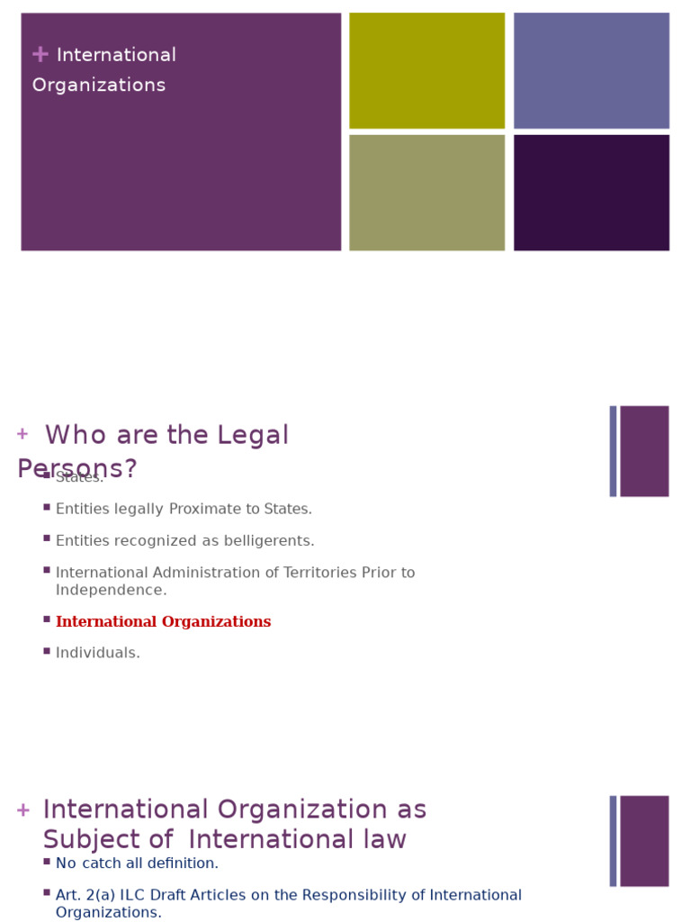 Legal Status of International Organizations | PDF | Treaty | Sovereign ...