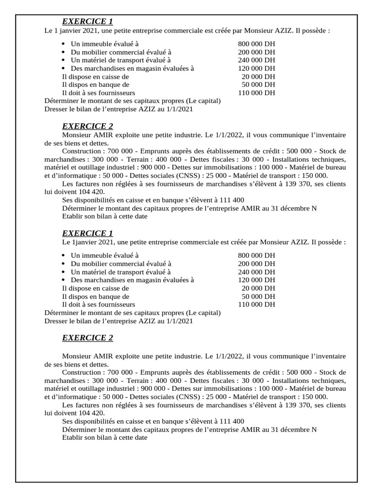 EXERCICE 1 Bilan | PDF