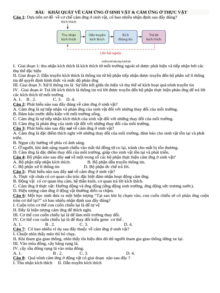 ĐỀ CƯƠNG SINH 11 GIỮA HKII - gui hs | PDF