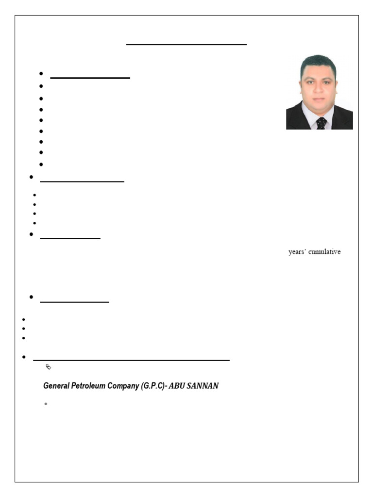 ENG Ibrahim Ahmed CV | PDF