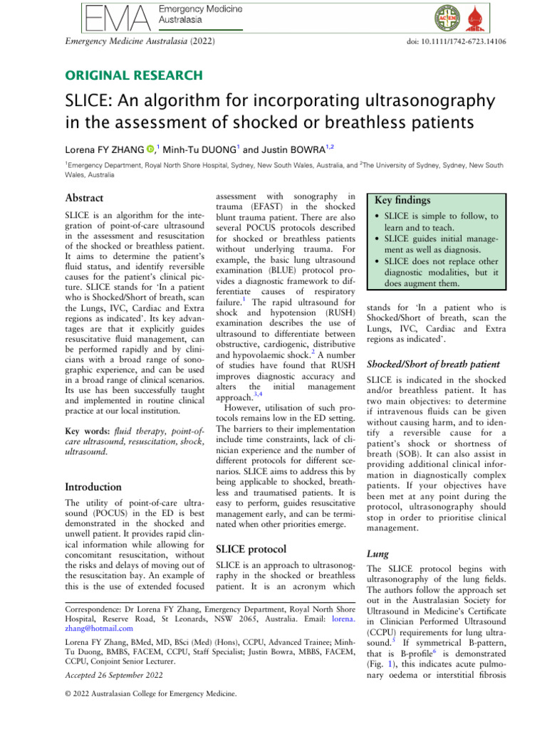Protocolo SLICE | PDF