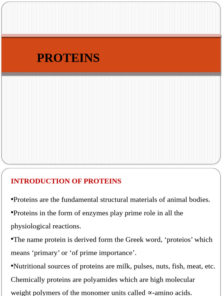 Proteins | PDF