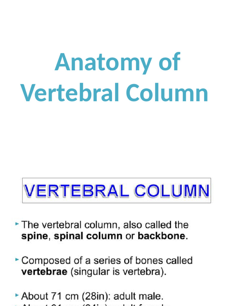 VERTEBRAL COLUMN PPT | PDF