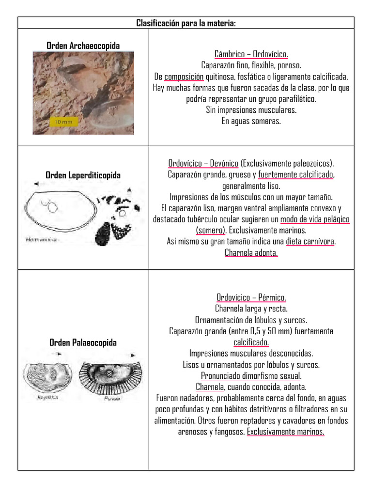 Ostracoda | PDF