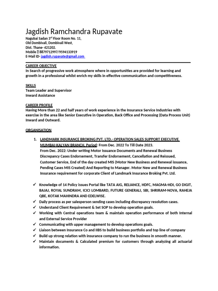 New CV Resum For Senior Executive New | PDF