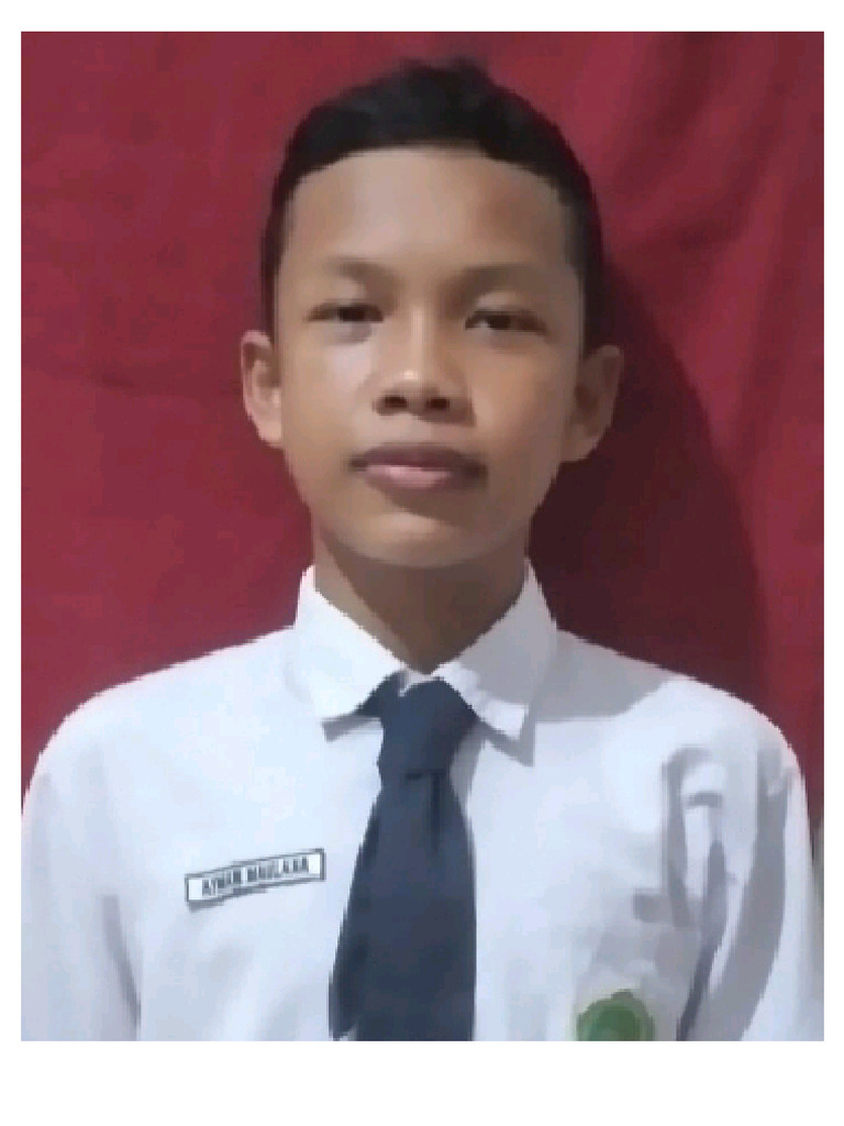 PDFGallery Ayman | PDF