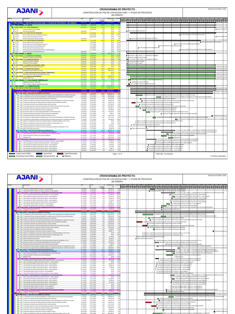 Cronograma Pad | PDF