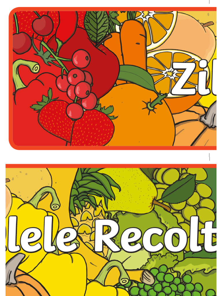 T T 253053 Zilele Recoltei Banner | PDF