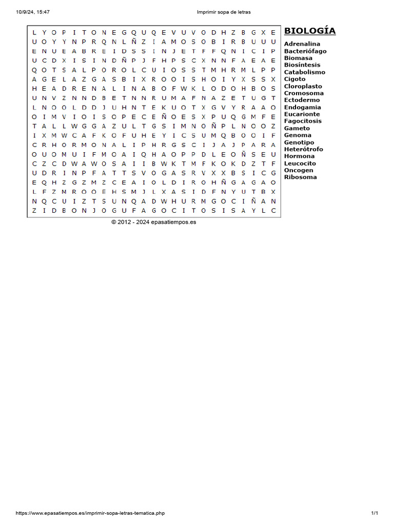 Imprimir Sopa de Letras 2 | PDF