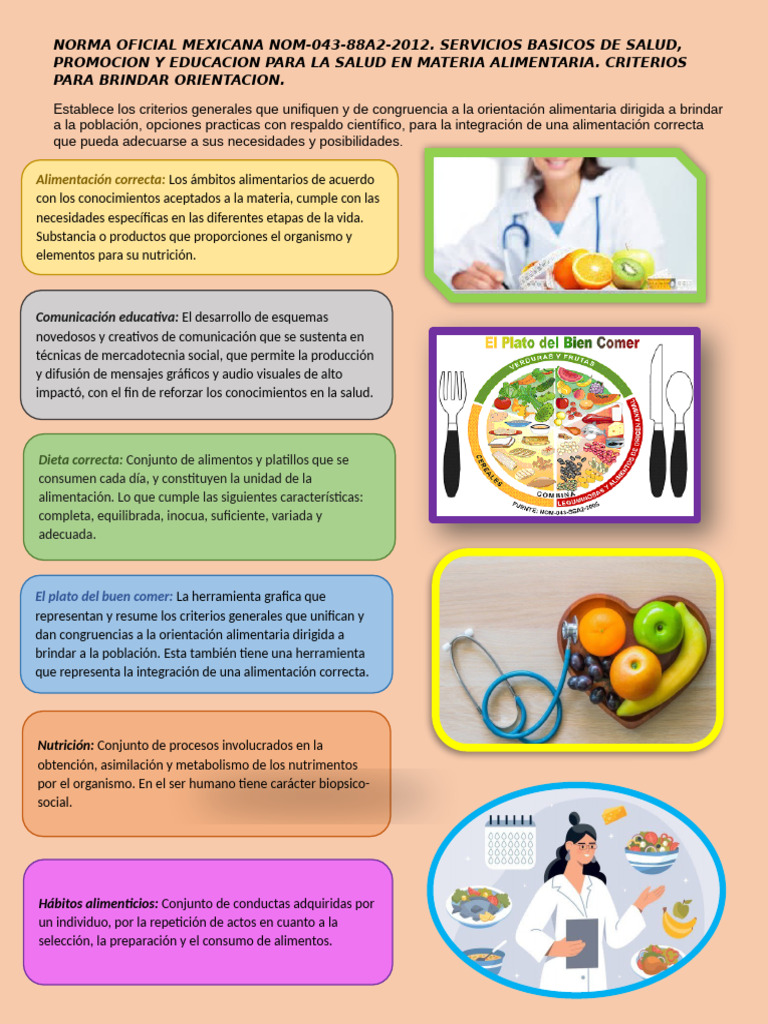 infografia de la norma 043 | PDF