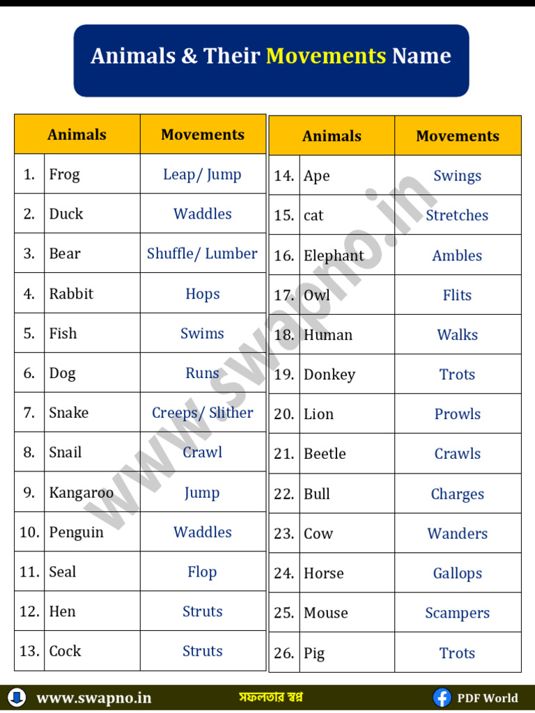 Animal & Their Movements | PDF | Art | Science & Mathematics