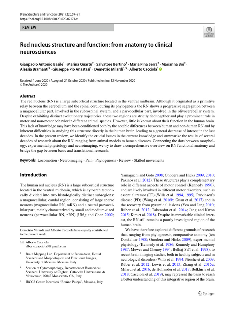 Red Nucleus Structure and Function From Anatomy To Clinical ...