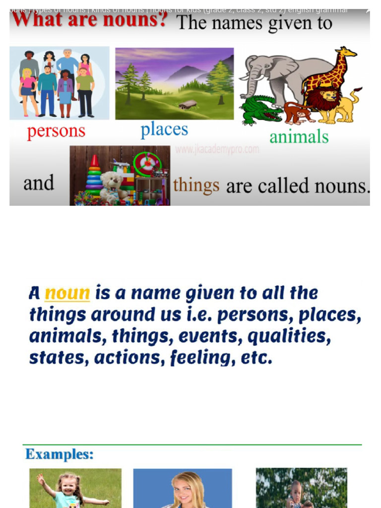 Types of Noun and Pluralization of Regular and Irregular Nouns | PDF