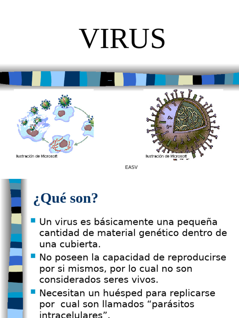 Virus Micro I | PDF