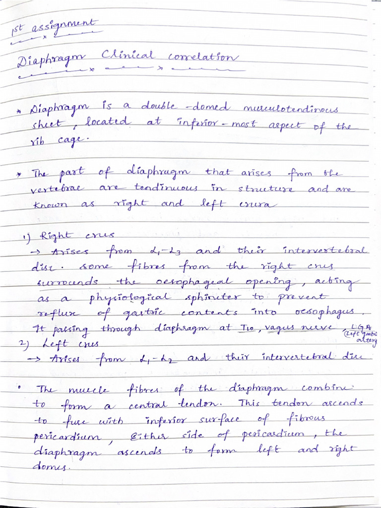 Surgery Assignment A.venugopal 13 | PDF