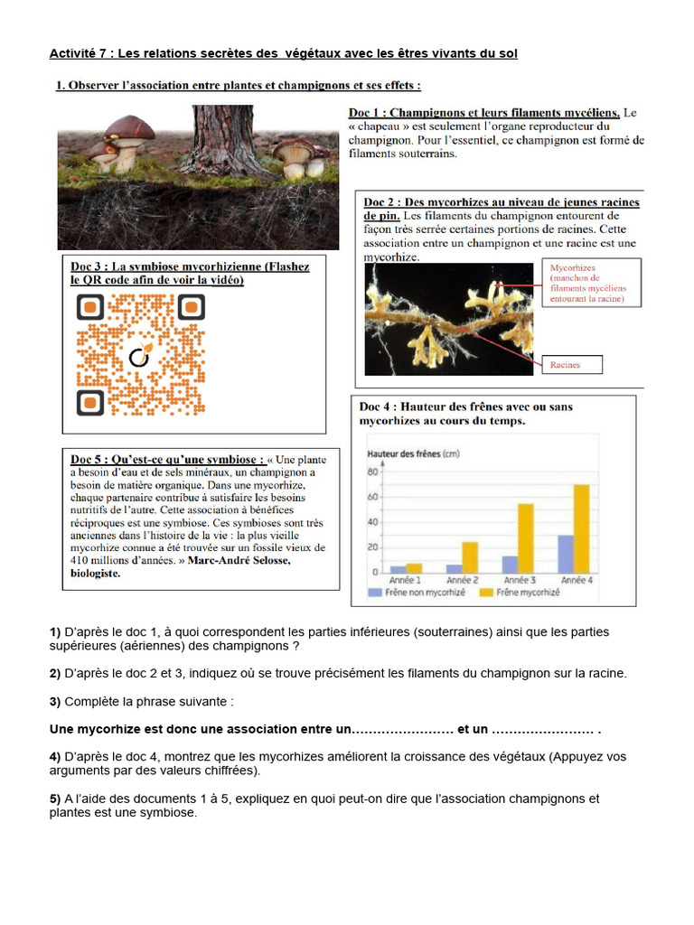 Les Relations Des Végétaux Avec Les Êtres Vivants | PDF