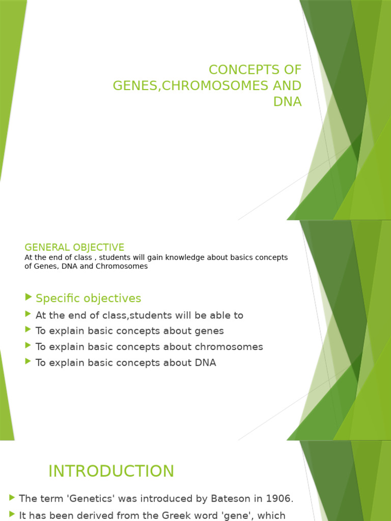Concepts of Genes, Chromosomes and Dna | PDF