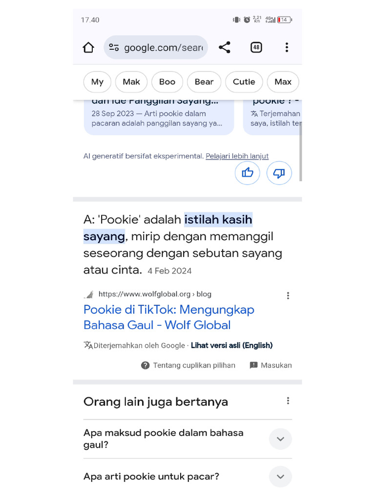 apa itu pookie | PDF