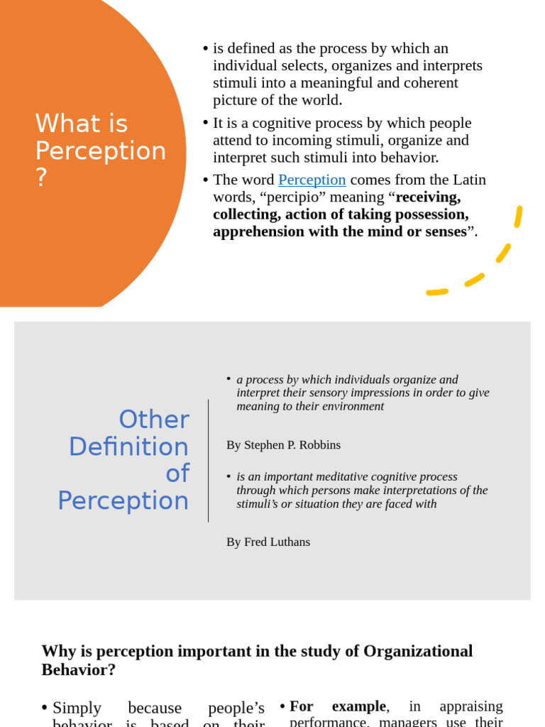 Perception and Factors That Influence Perceptions - Rod C. Magcanta | PDF