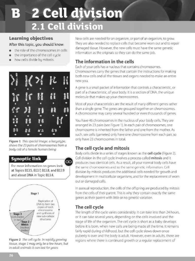 Biology Topic 2 AQA | PDF