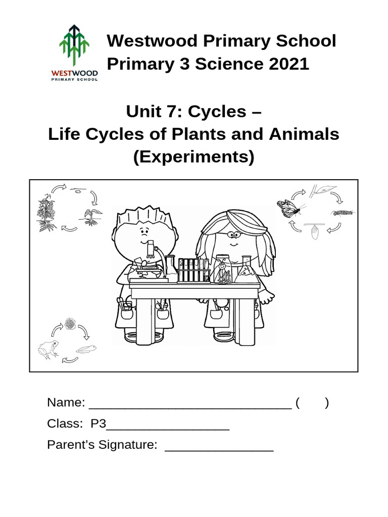 Cycles - Life Cycles - Plants and Animals - 2021 - Experiments | PDF