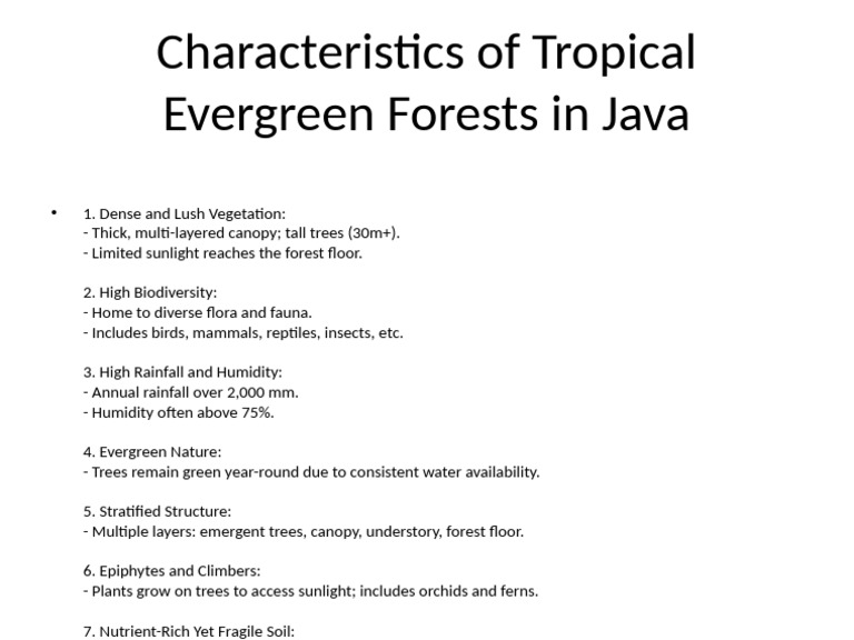 Tropical Evergreen Forests Java | PDF