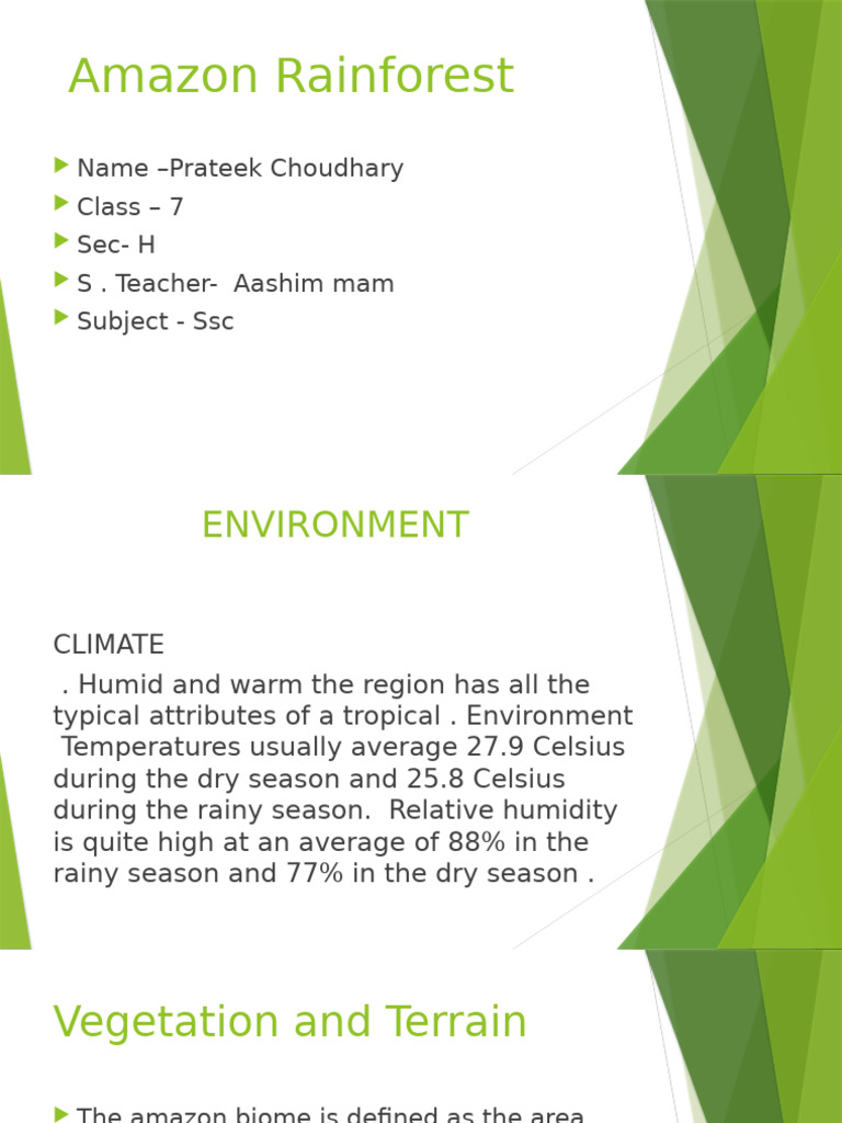 Amazon Rainforest | PDF