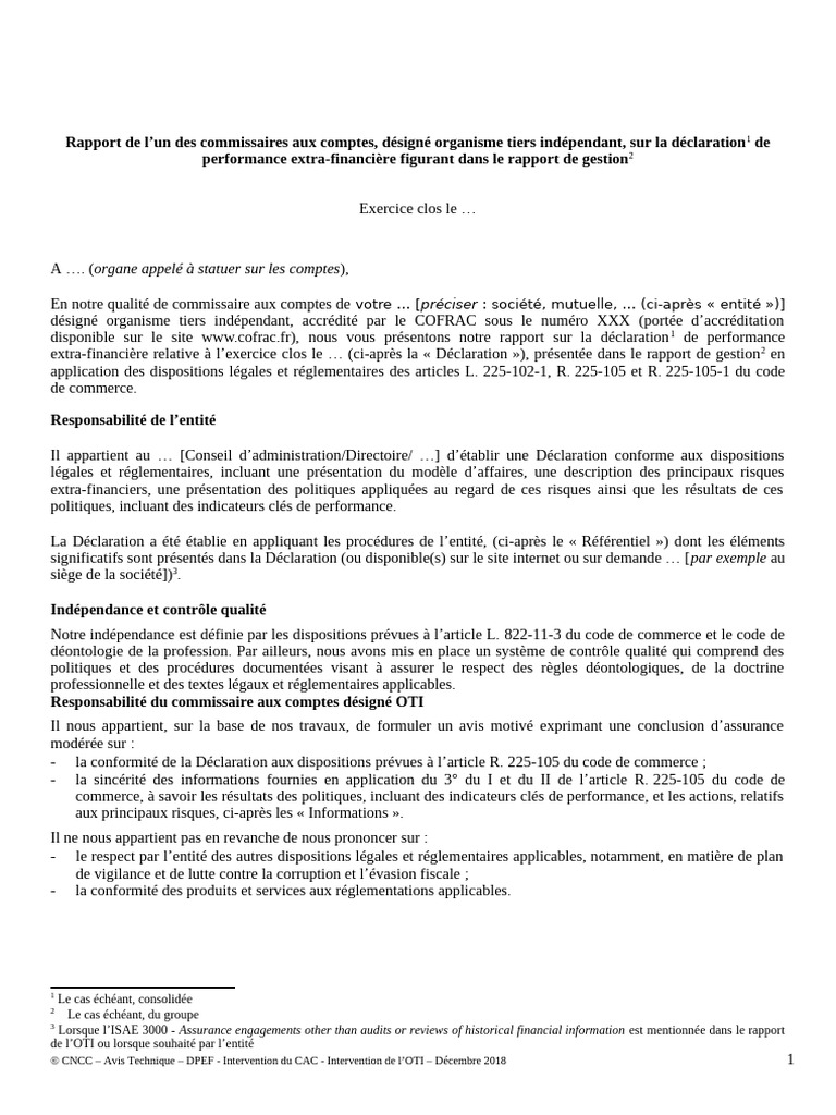 Exemple de Rapport OTI | PDF