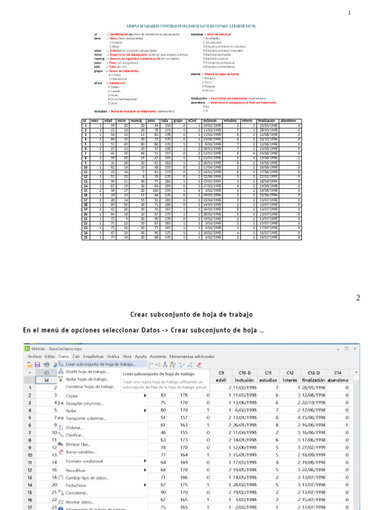 Base de datos y variables estadística Subconjunto | PDF