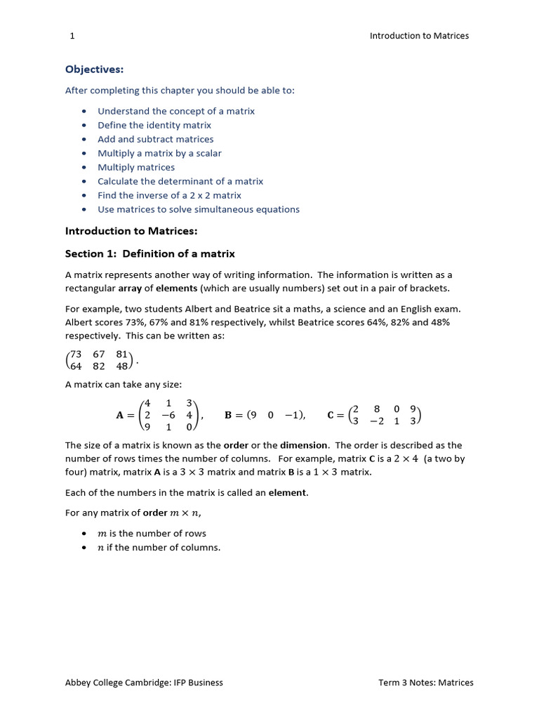 Section 8 Matrices - Notes | PDF