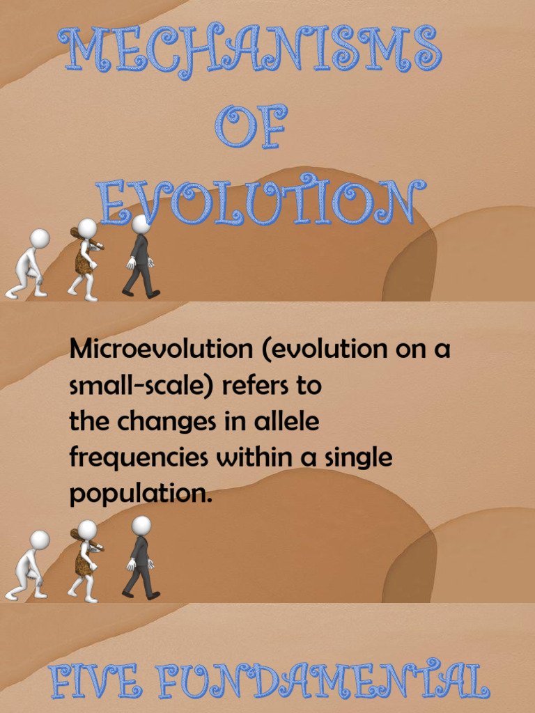 Mechanisms of Evolution | PDF