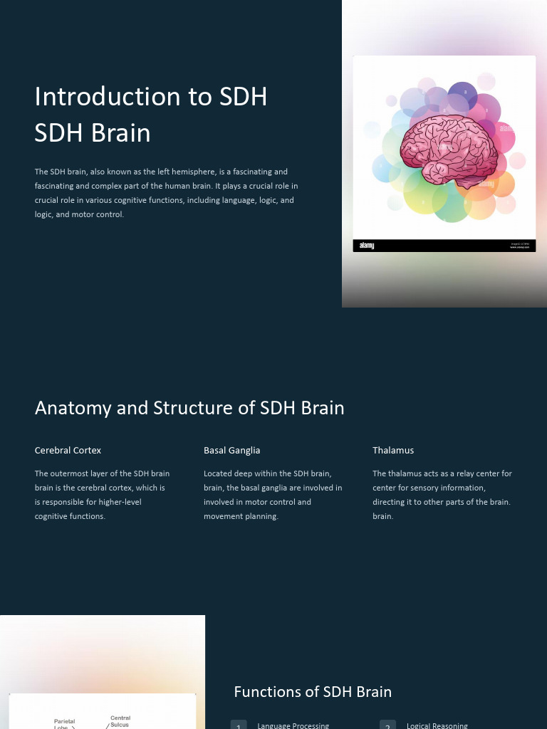 Introduction To SDH Brain | PDF