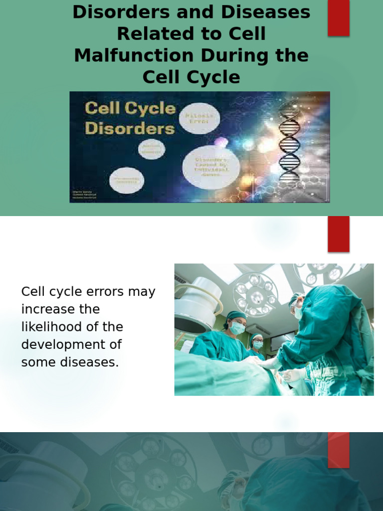 Disorder and Diseases During Cell Cycle | PDF
