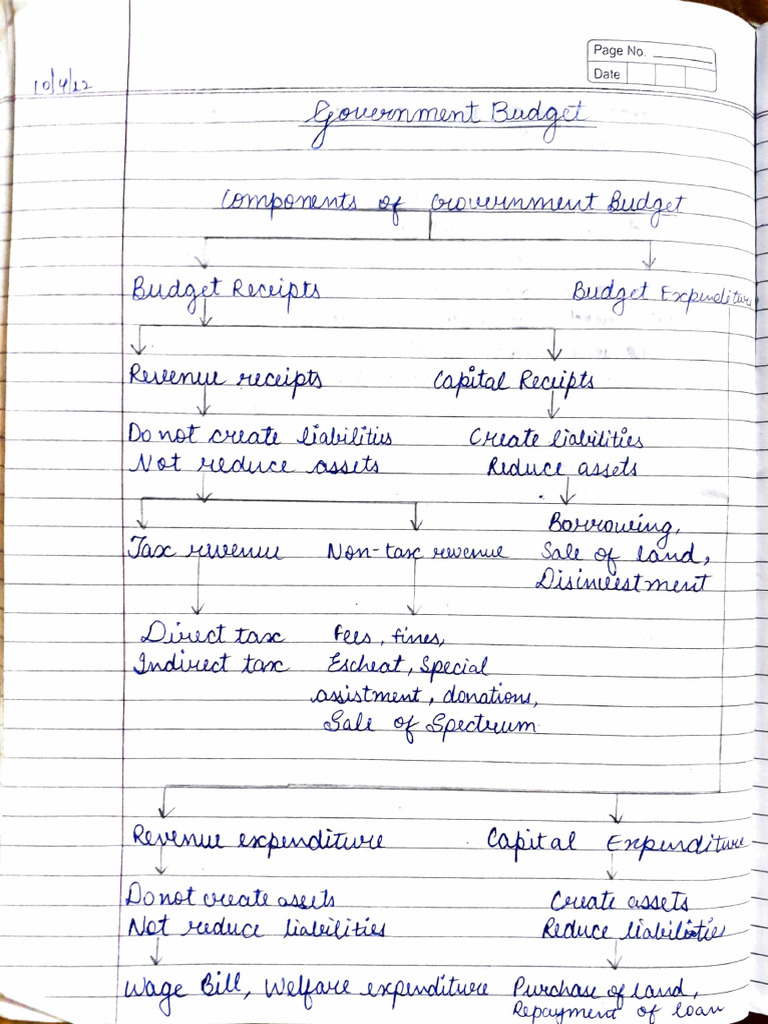 Government Budget Class 12 Cbse 2024 25 | PDF